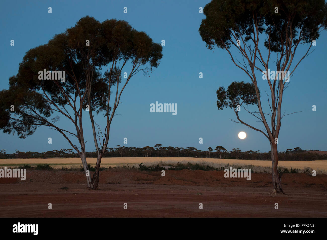 Outback road night western australia hi-res stock photography and ...