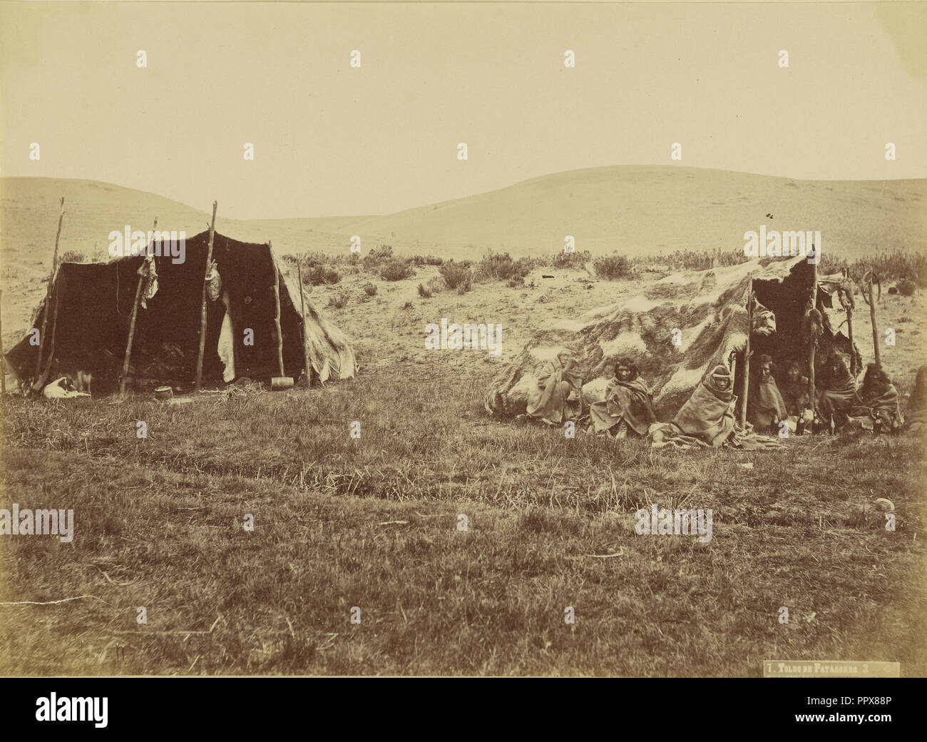 Patagones hi-res stock photography and images - Alamy