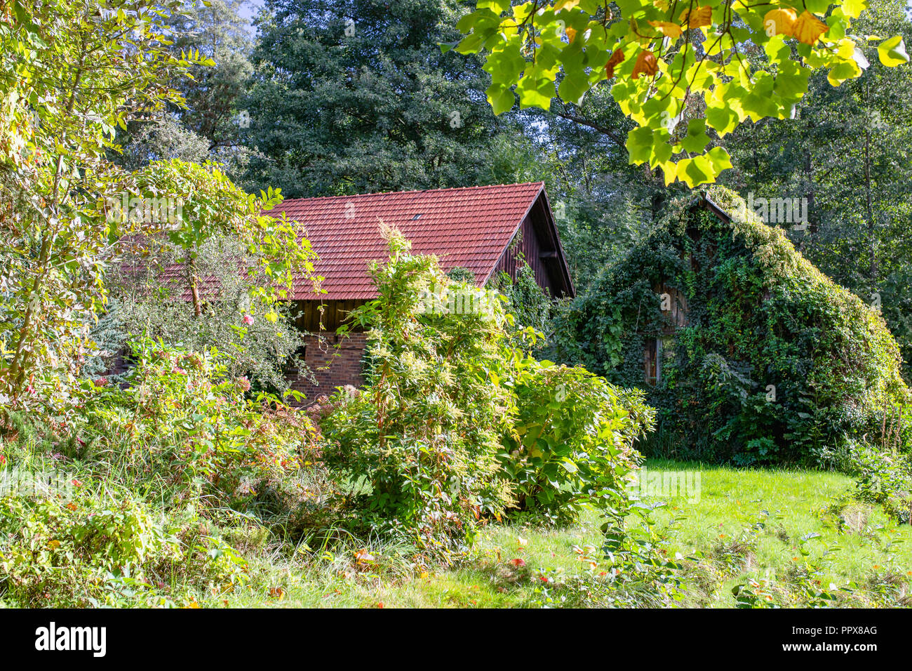 Lehde, Spreewald / Germany. Typical Spreewald landscape. Canals, vivid ...