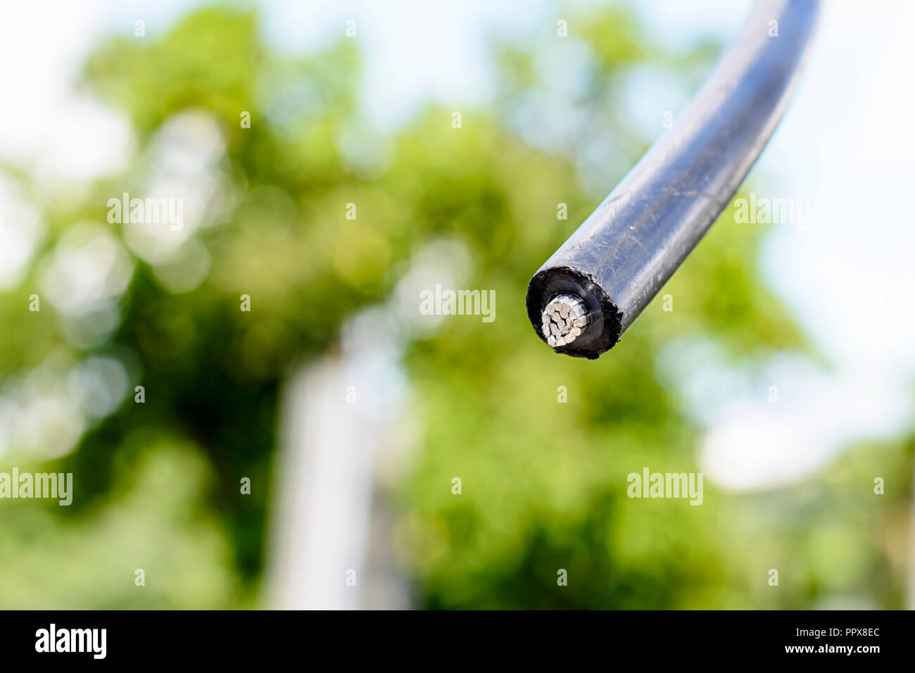 The big black cable on nature background Stock Photo - Alamy