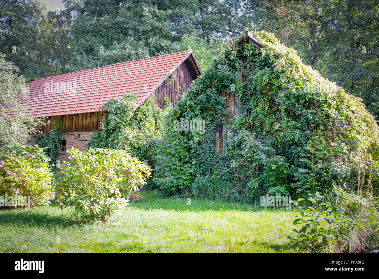 Lehde, Spreewald / Germany. Typical Spreewald landscape. Canals, vivid ...
