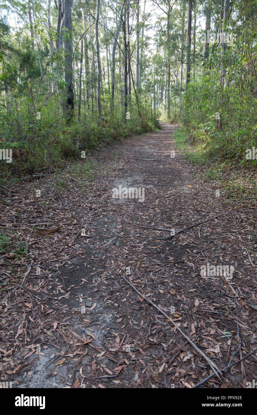 Mapleton road hi-res stock photography and images - Alamy