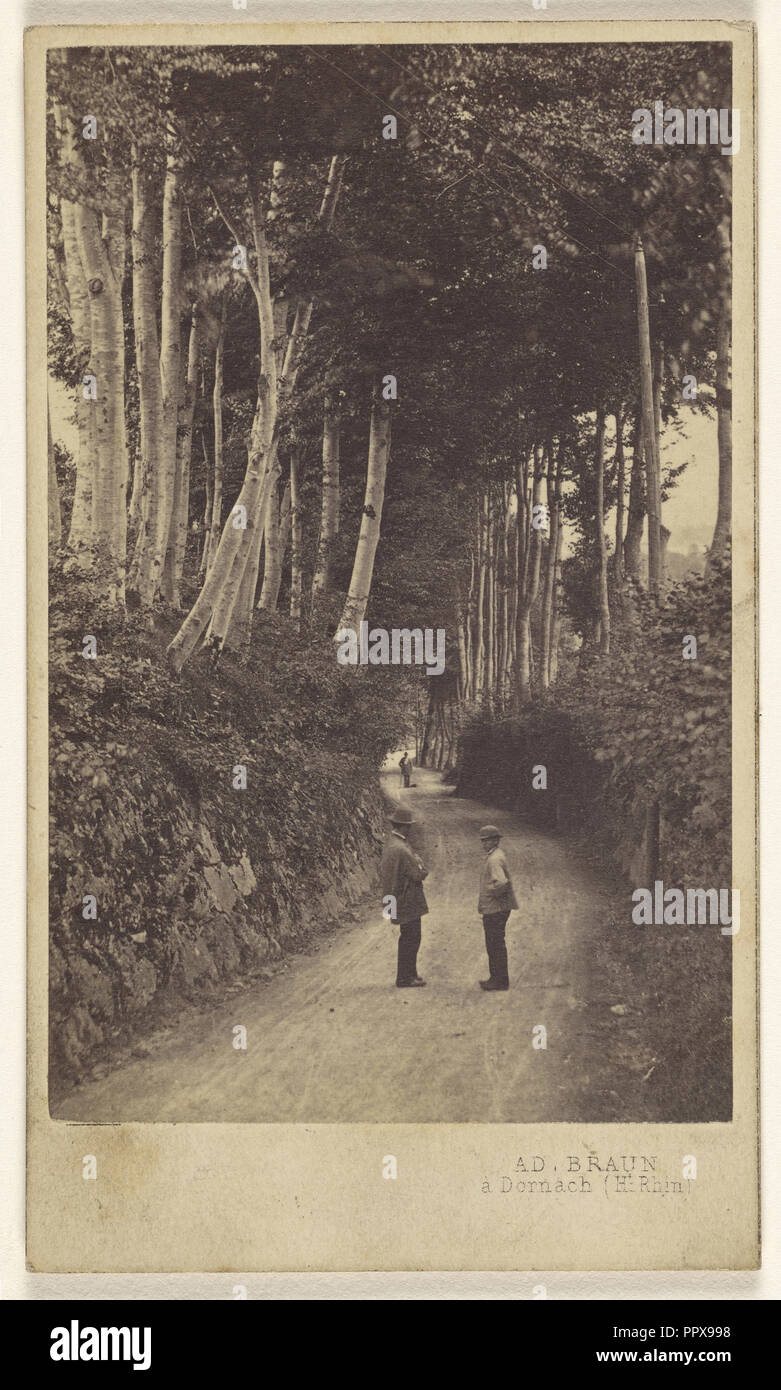 Men standing in tree-lined country lane; Adolphe Braun, French, 1812 ...