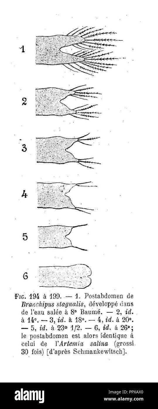 Print variations Cut Out Stock Images & Pictures - Alamy