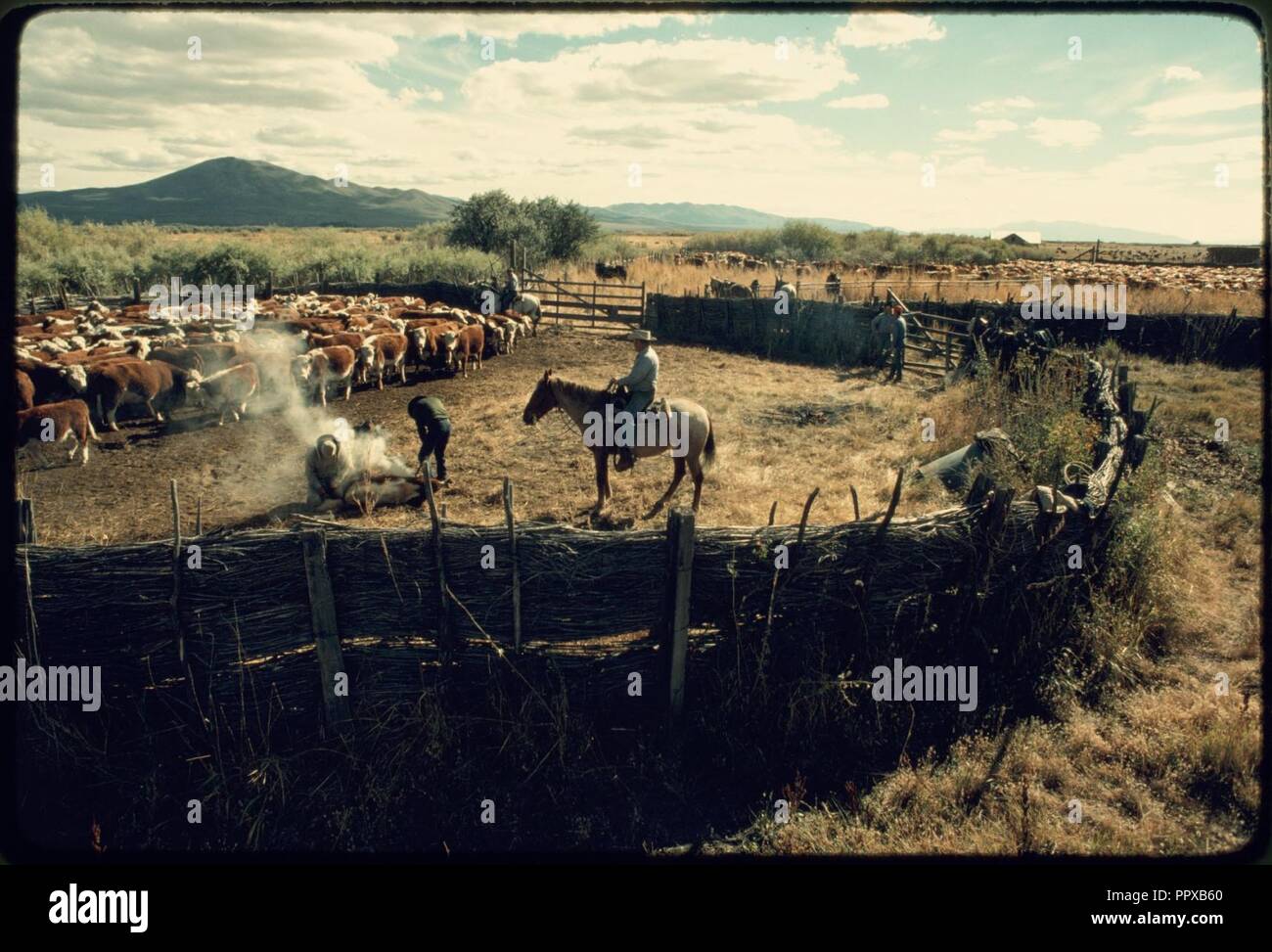 Ninety six hi-res stock photography and images - Alamy