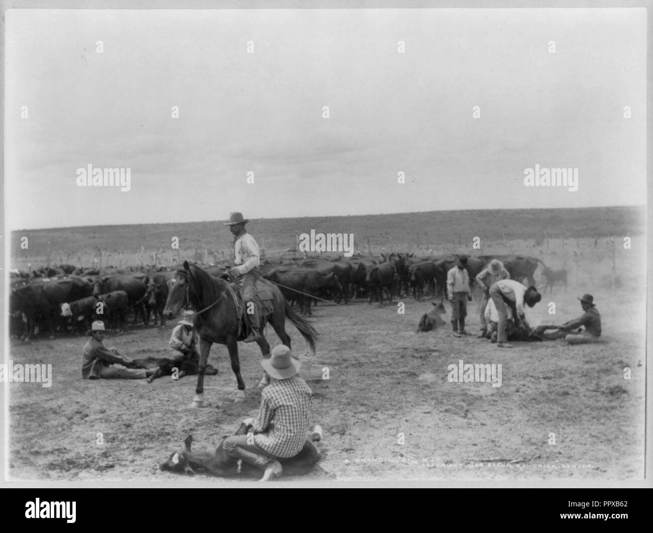 Branding on the XIT Stock Photo - Alamy