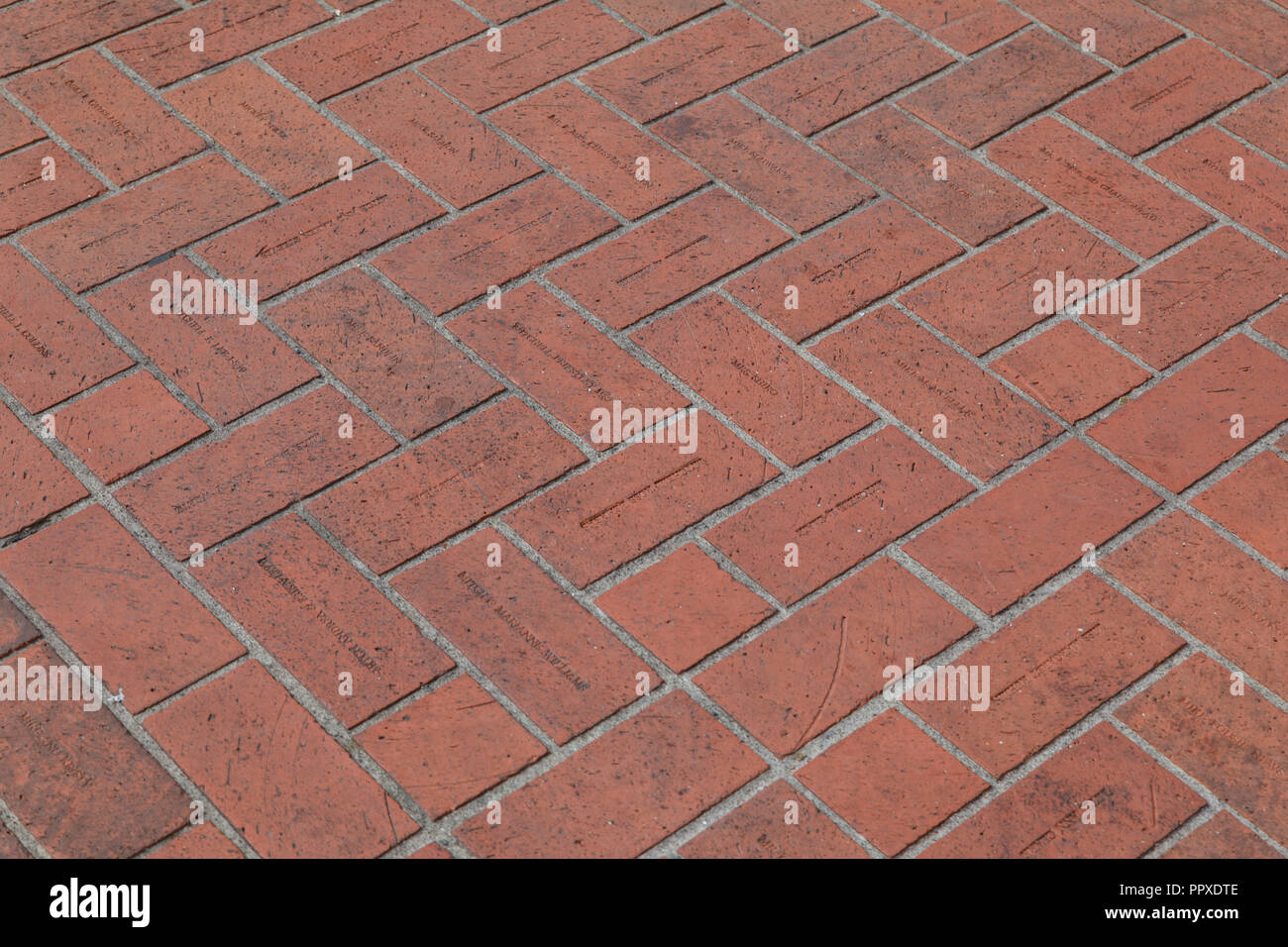 Portland stone texture hi-res stock photography and images - Alamy