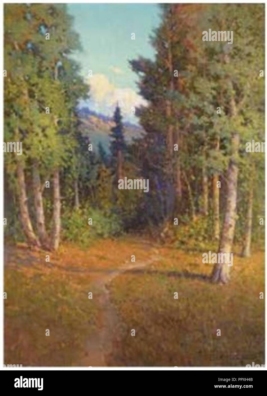 Historic bridle path hi-res stock photography and images - Alamy