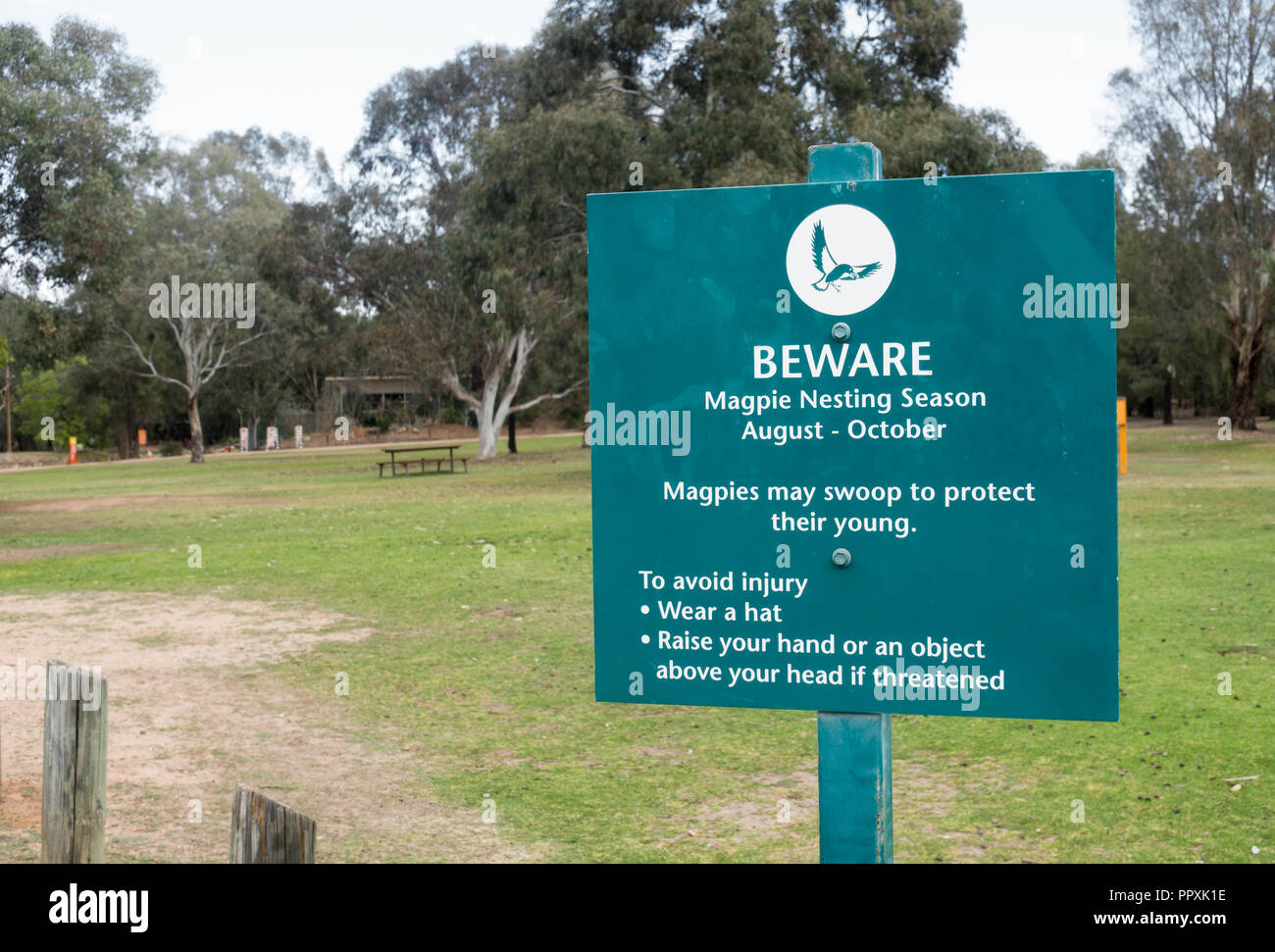 Nesting birds warning sign hi-res stock photography and images - Alamy