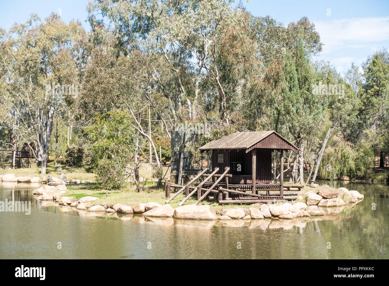 Gibbon retreat island at Dubbo Zoo NSW Australia Stock Photo - Alamy