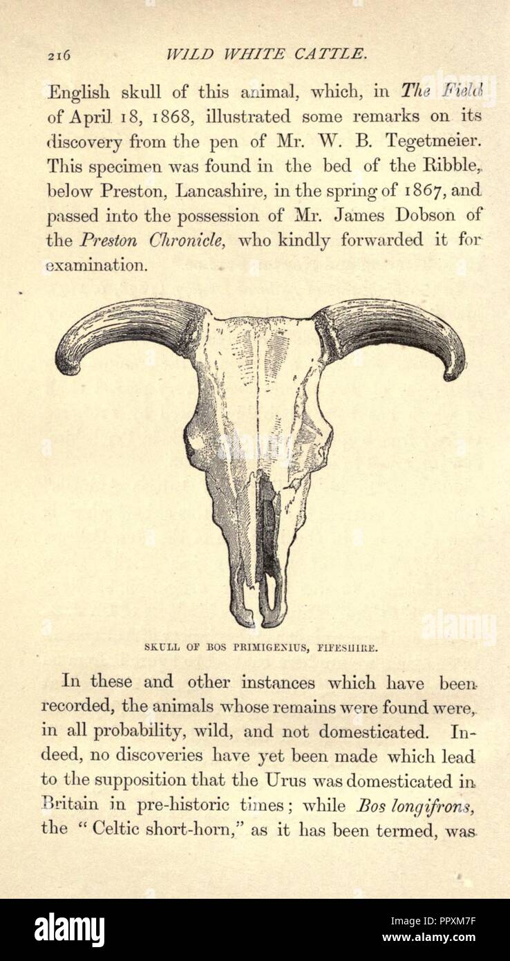 British animals extinct within historic times (Page 216 Stock Photo - Alamy