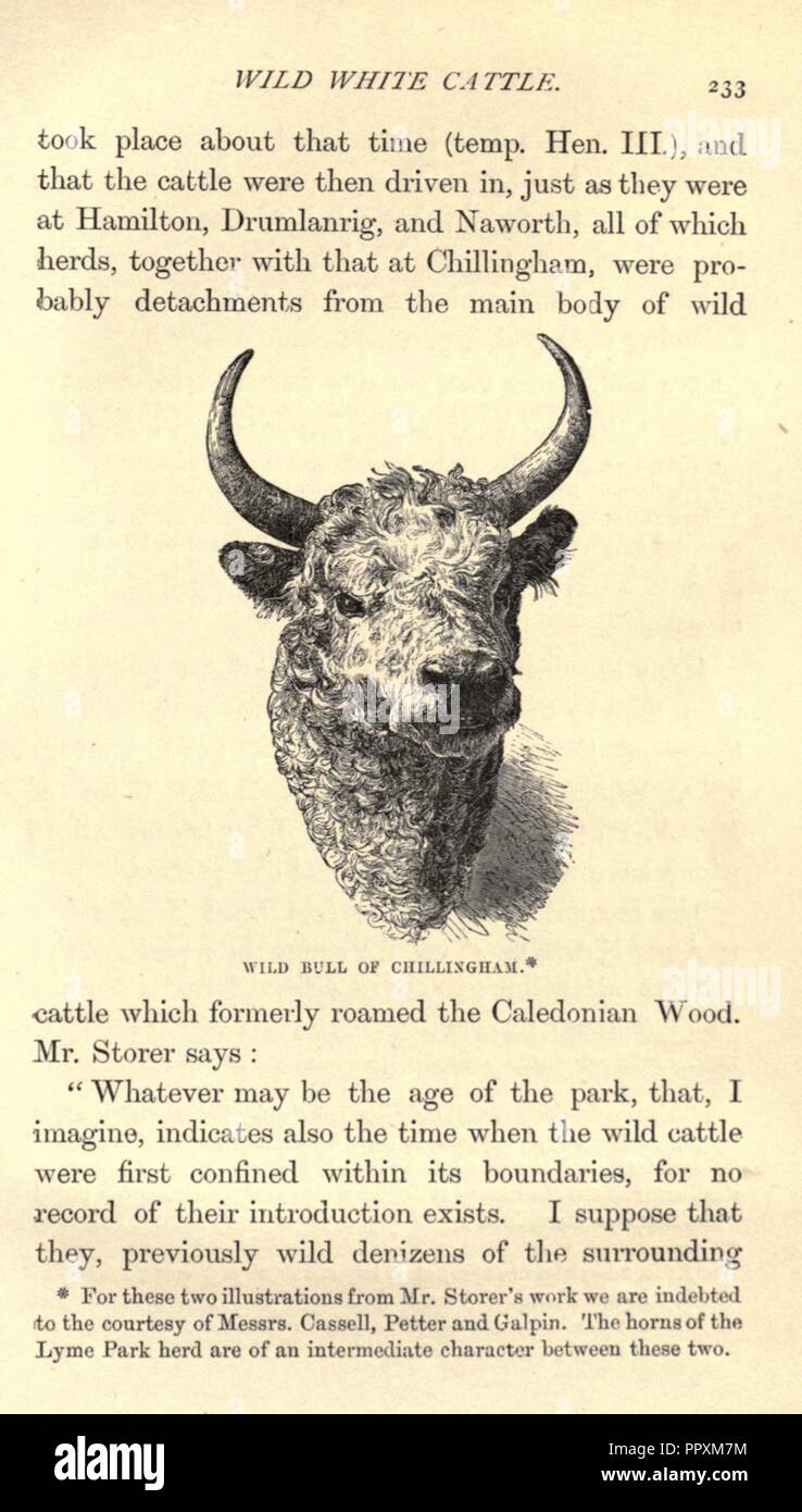 British animals extinct within historic times (Page 233 Stock Photo - Alamy