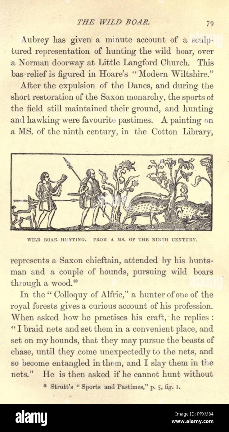 British animals extinct within historic times (Page 79 Stock Photo - Alamy