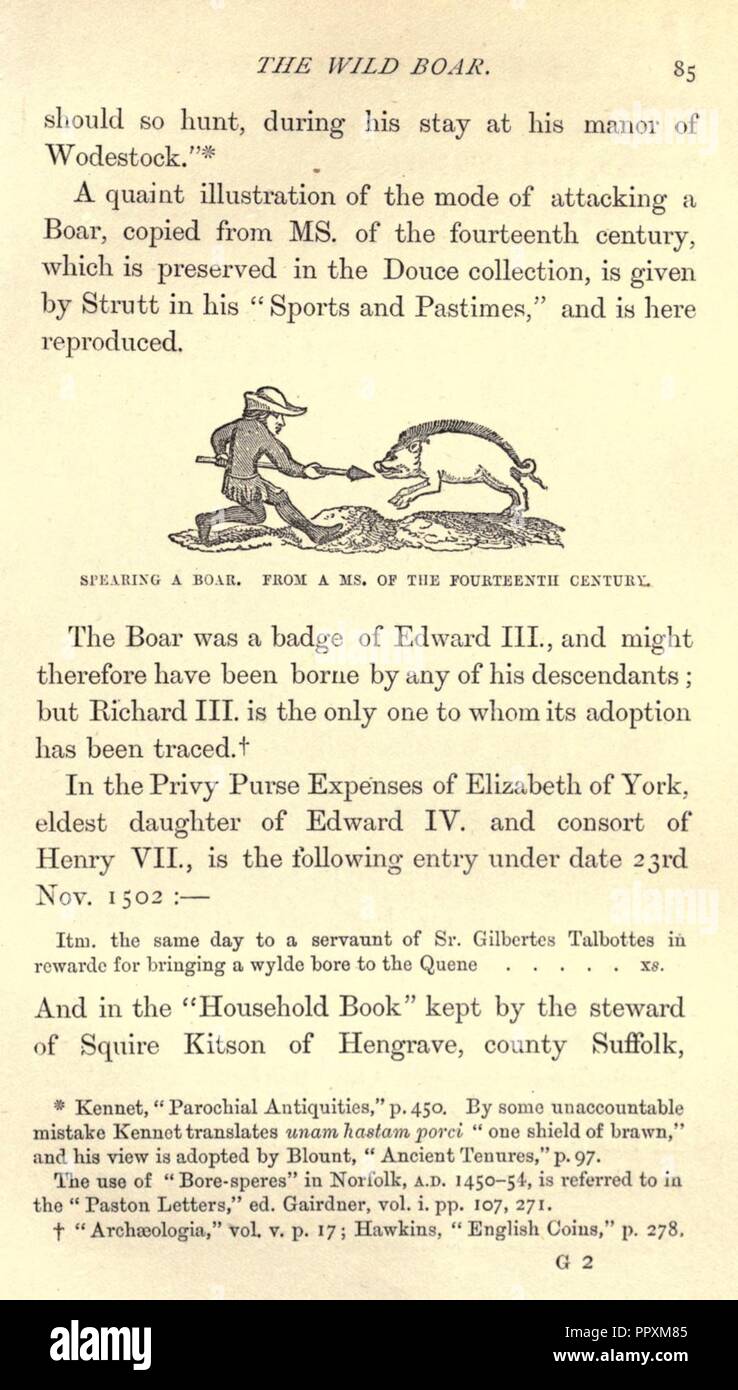 British animals extinct within historic times (Page 85 Stock Photo - Alamy