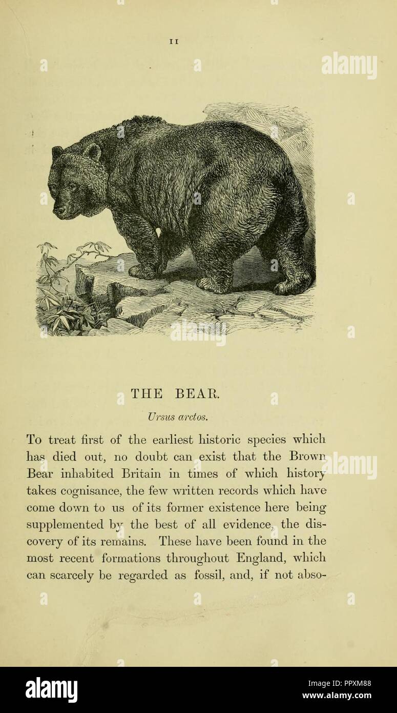 British animals extinct within historic times Stock Photo - Alamy