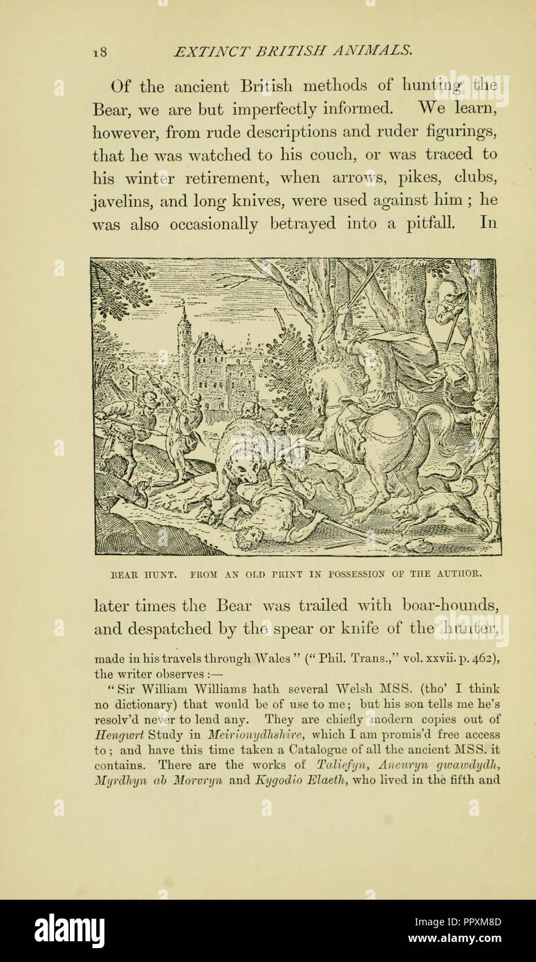 British animals extinct within historic times Stock Photo - Alamy