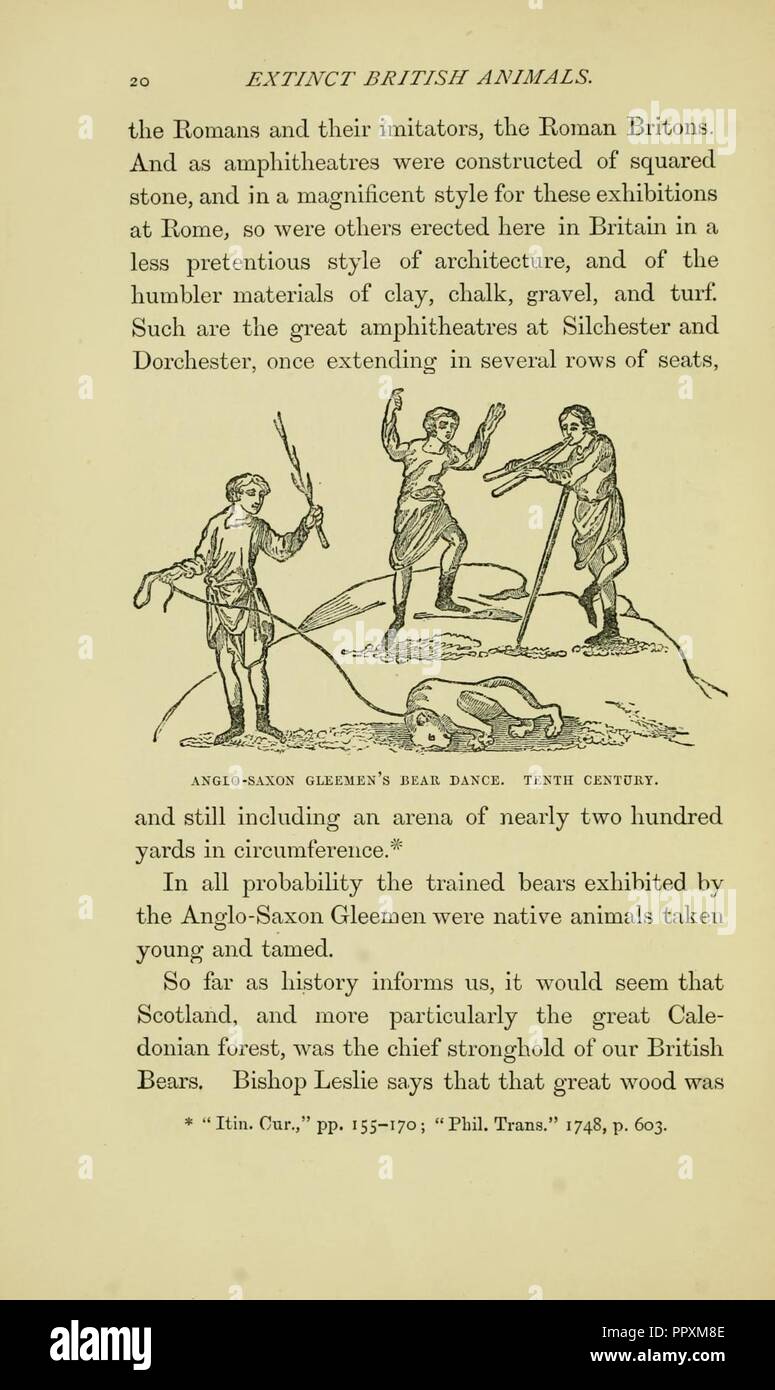 British animals extinct within historic times Stock Photo - Alamy