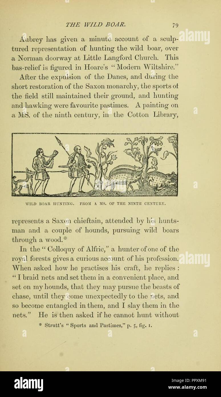 British animals extinct within historic times Stock Photo - Alamy