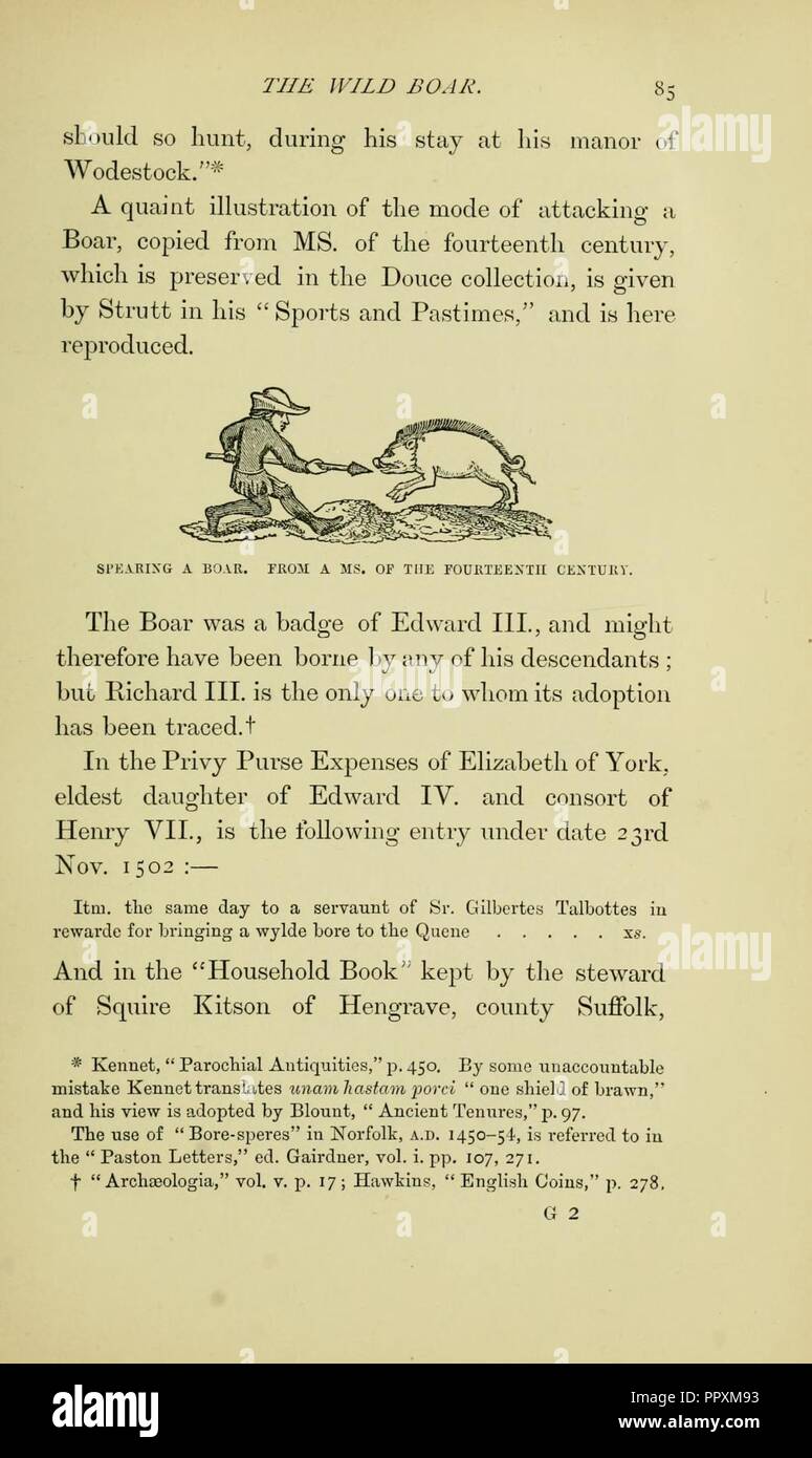 British animals extinct within historic times Stock Photo - Alamy