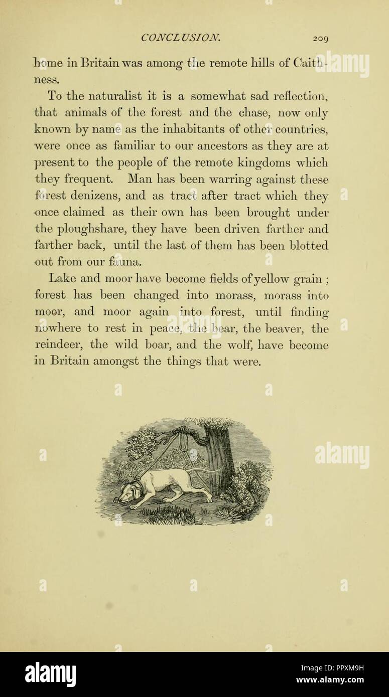 British animals extinct within historic times Stock Photo - Alamy