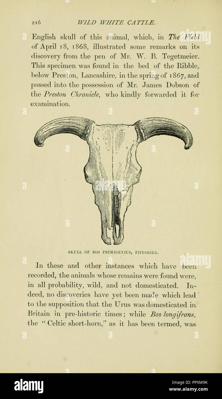 British animals extinct within historic times Stock Photo - Alamy