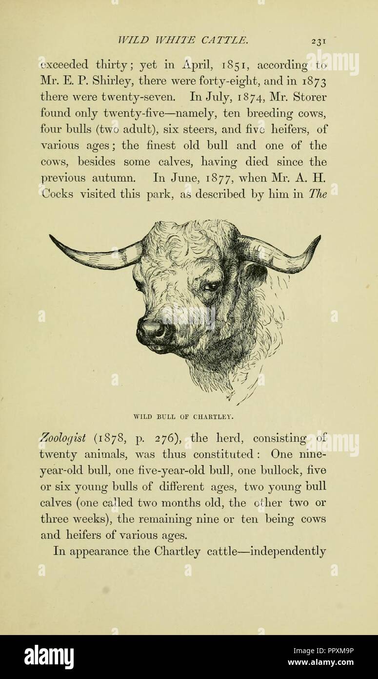 British animals extinct within historic times Stock Photo - Alamy