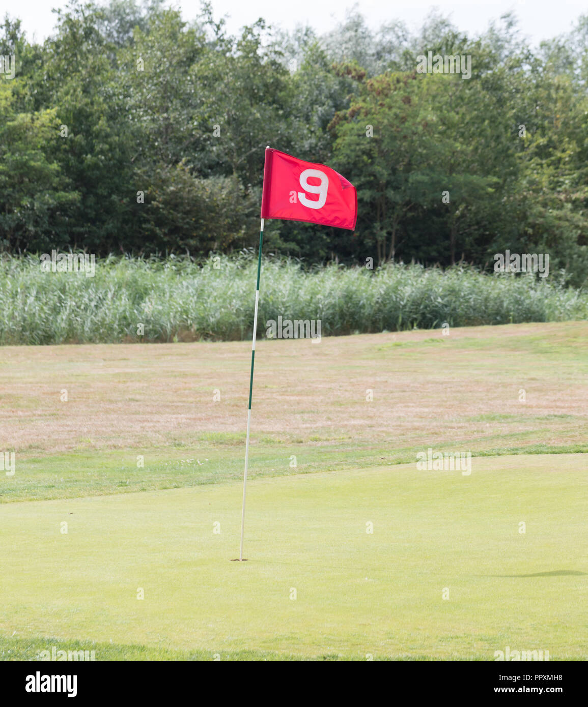 Golf track hi-res stock photography and images - Alamy