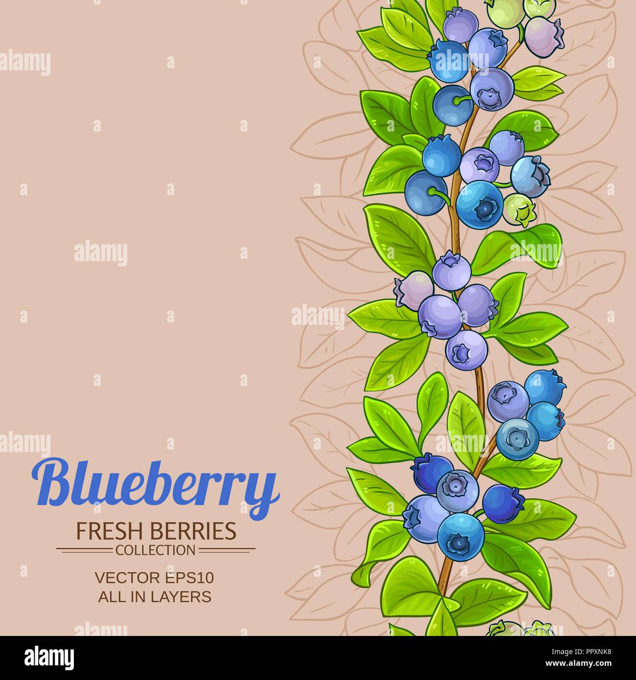 Tasty blueberry on color Stock Vector Images - Alamy