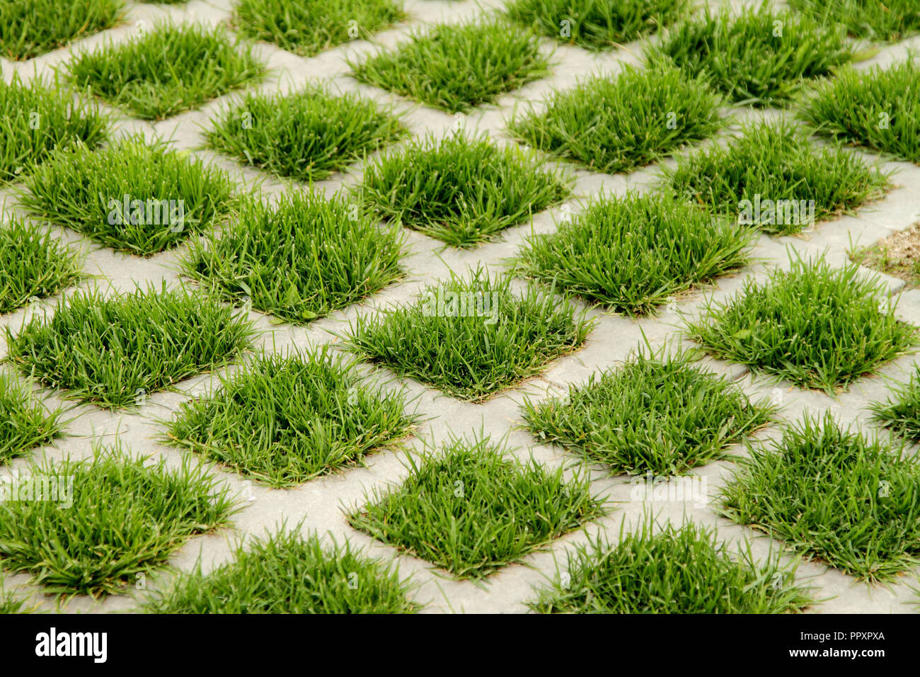 Dense parking hi-res stock photography and images - Alamy