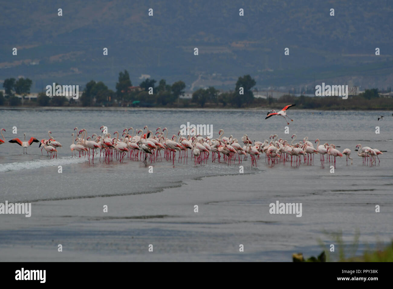 Nea kios hi-res stock photography and images - Alamy