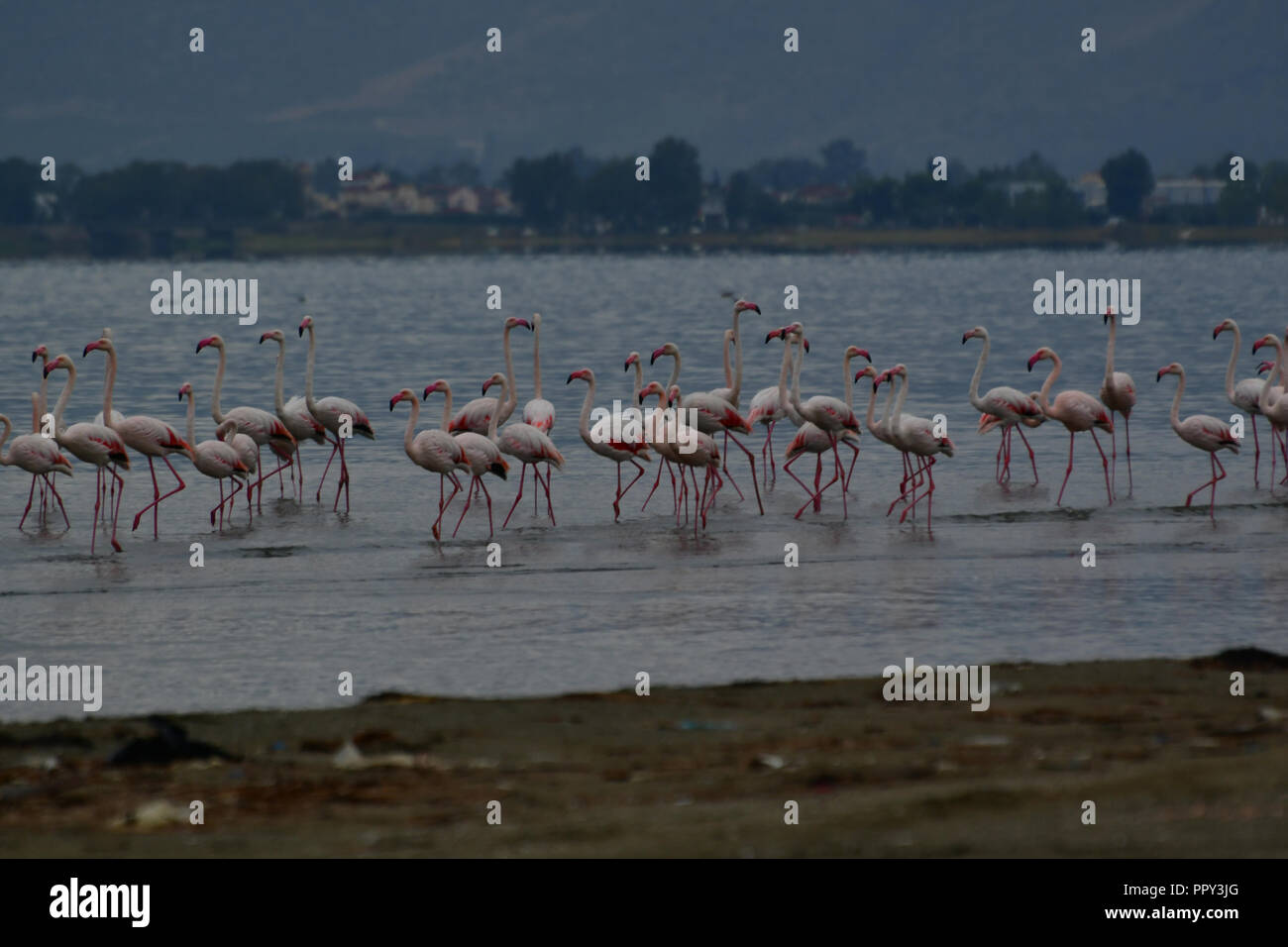 Nafplion, Greece. 28th September 2018. Hundreds are the arrivals of ...