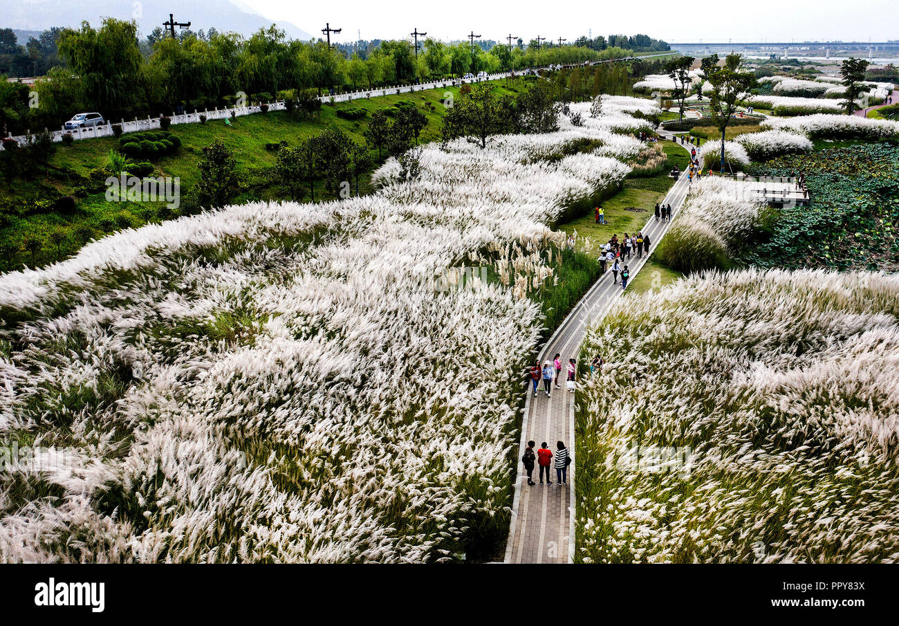Hanzhong. 28th Sep, 2018. Aerial photo taken on Sept. 28, 2018 shows ...