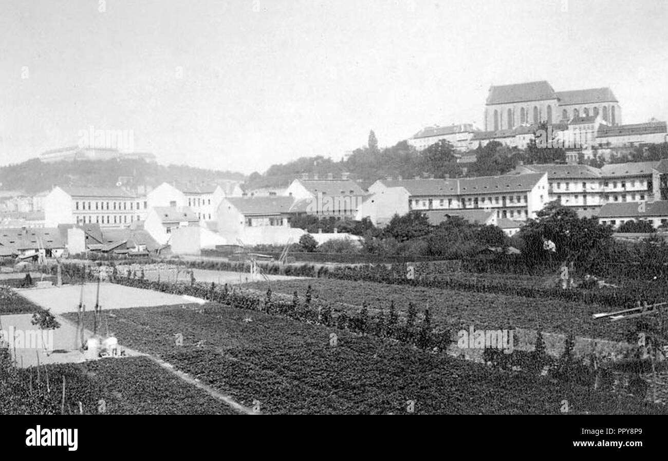 Sadu Black and White Stock Photos & Images - Alamy