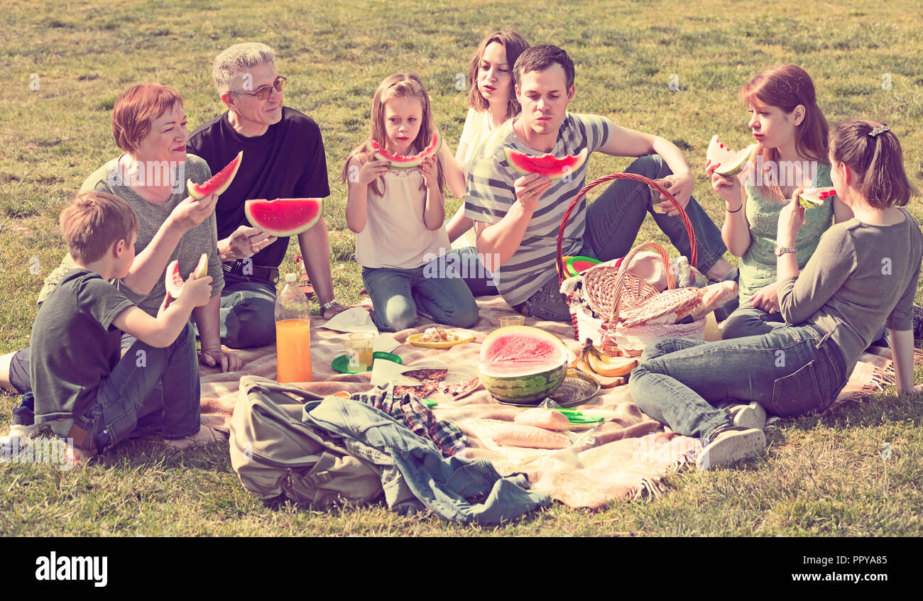 Cheerful family eating different food on picnic Stock Photo - Alamy