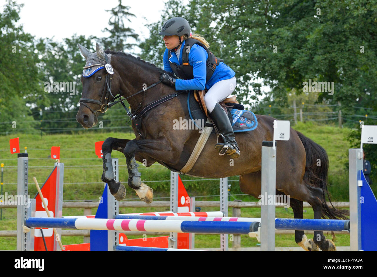 Show jumping competition adult hi-res stock photography and images - Alamy