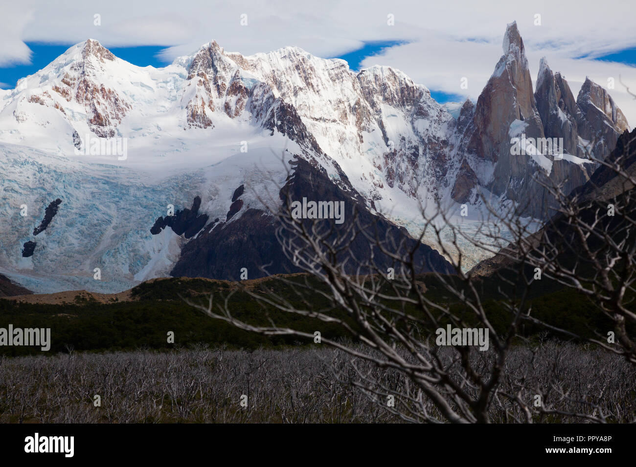 Glaciers and mountains Fitz Roy, Cerro Torre in summer day. Andes ...