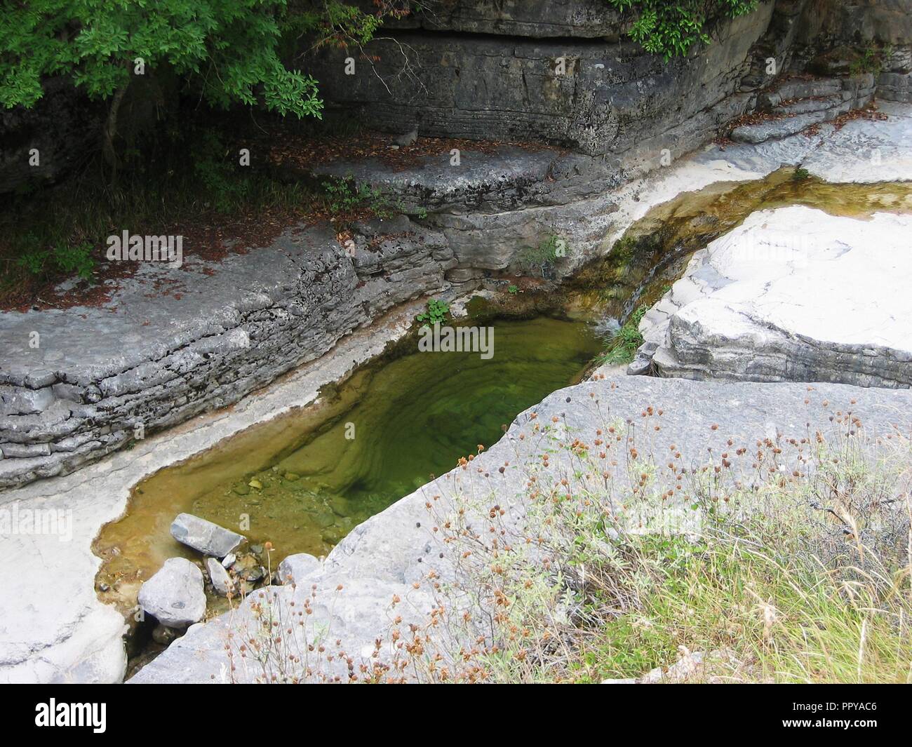 Papingo rock pools hi-res stock photography and images - Alamy