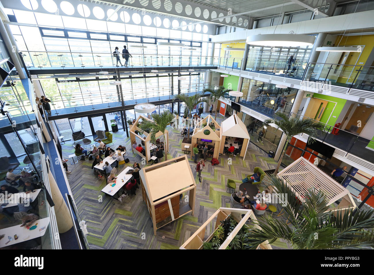 New installation in the atrium of the Checkland Building at the ...