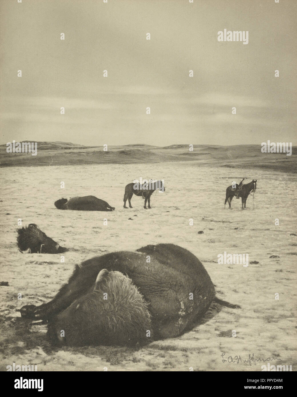 After the Chase, North Montana Range, M.T. Jan 82; Laton Alton Huffman ...