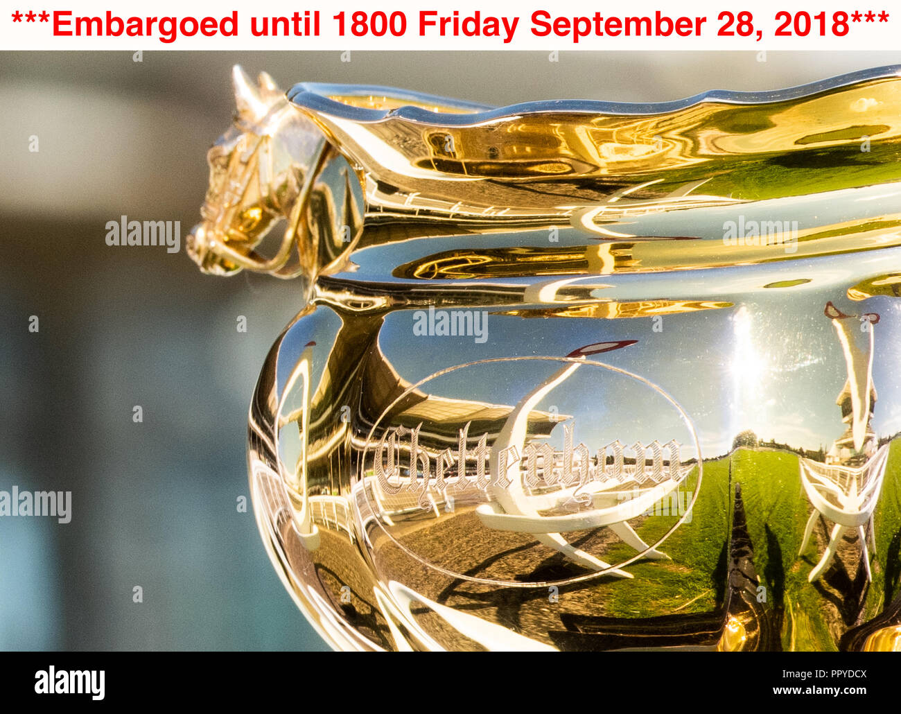 Cheltenham gold cup trophy hi-res stock photography and images - Alamy