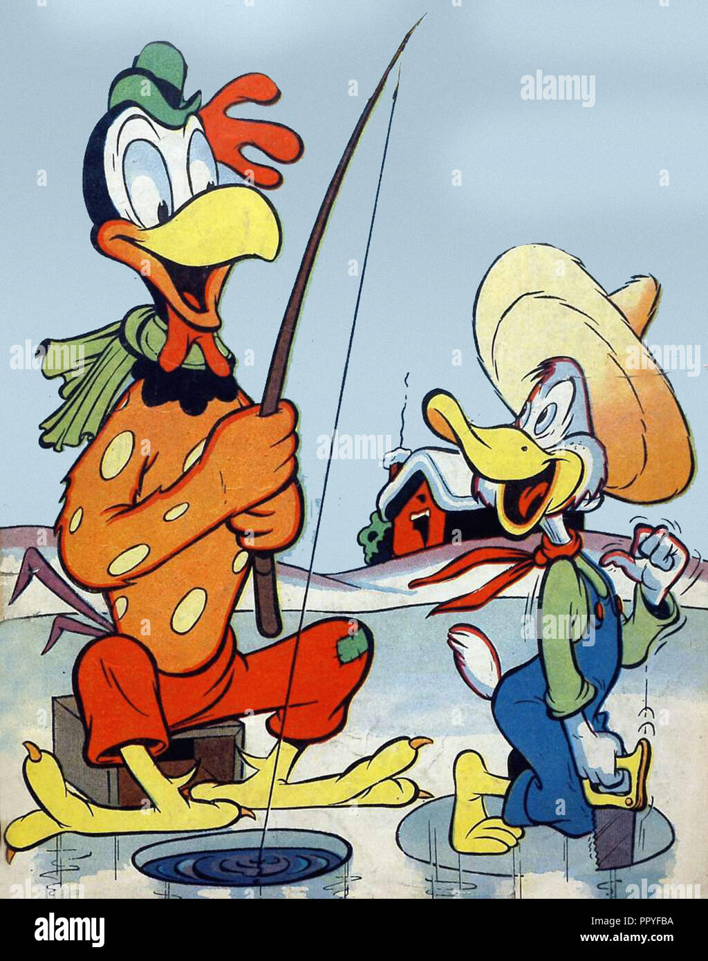 Mexican Duck Stock Photos & Mexican Duck Stock Images - Alamy