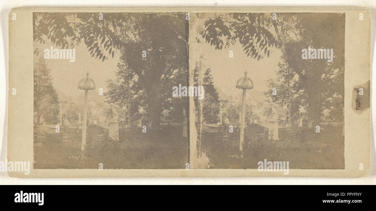 Salted paper hi-res stock photography and images - Alamy