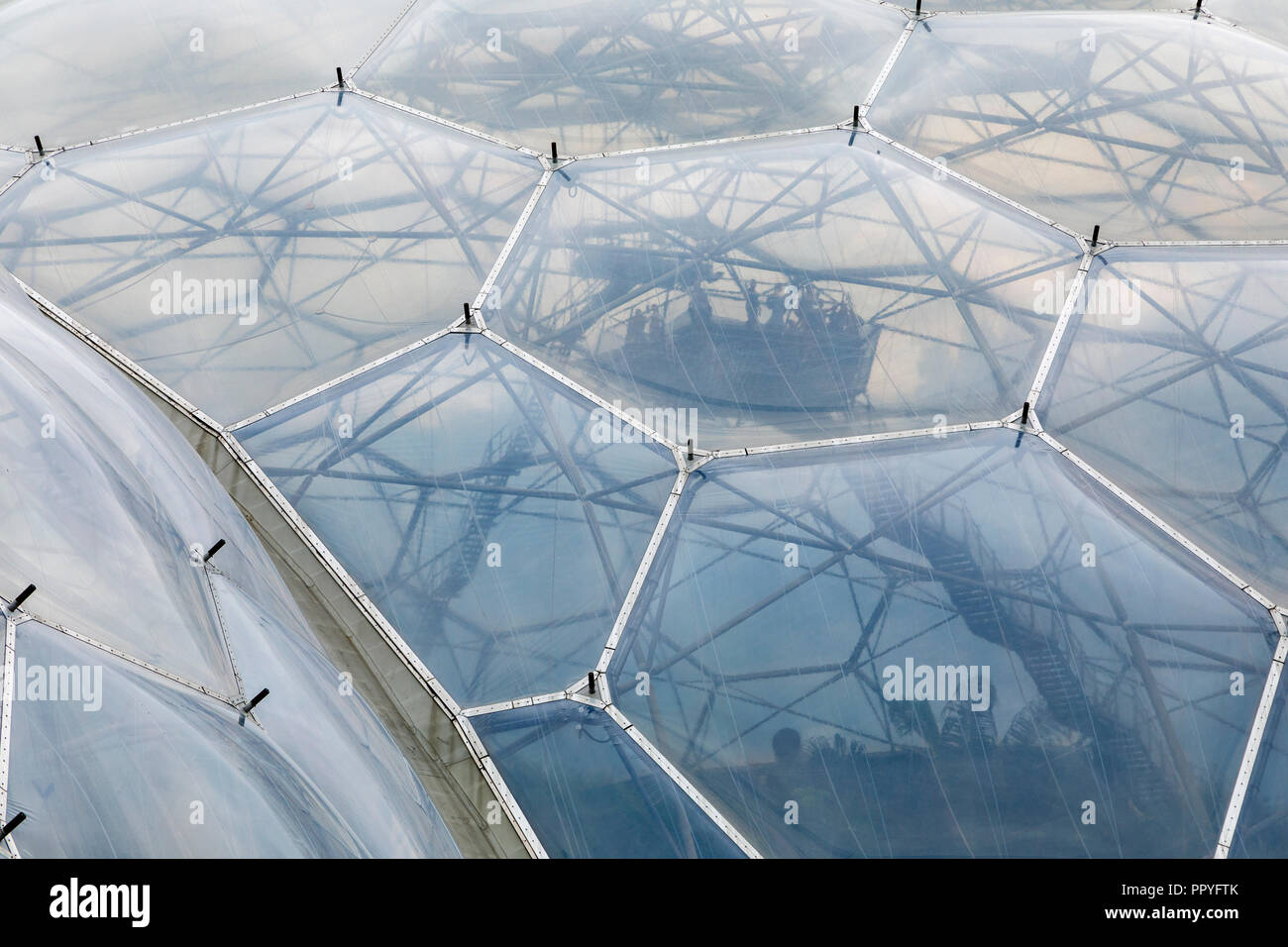 The viewing platform seen from outside the Rainforest Biome, The Eden ...
