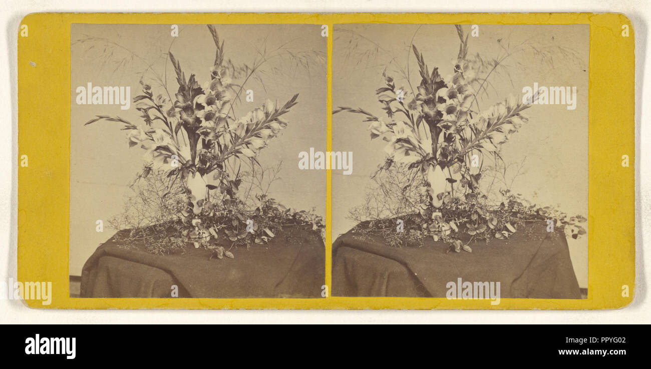 Silver flower hi-res stock photography and images - Alamy