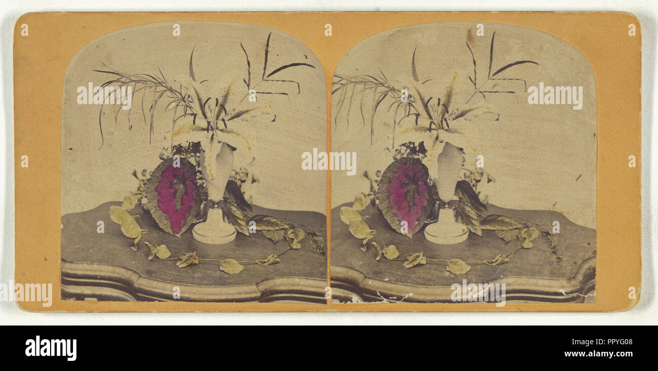 Flower arrangement; about 1865; Hand-colored Albumen silver print Stock ...