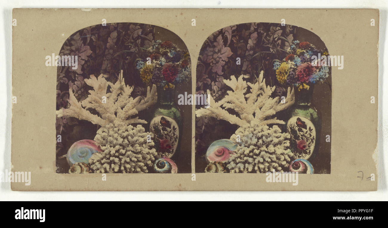 Silver shells hi-res stock photography and images - Alamy