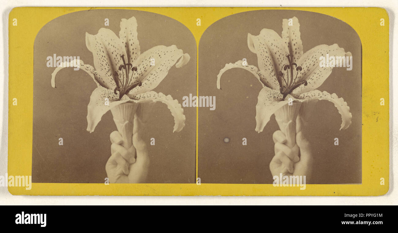 Albumen hi-res stock photography and images - Alamy