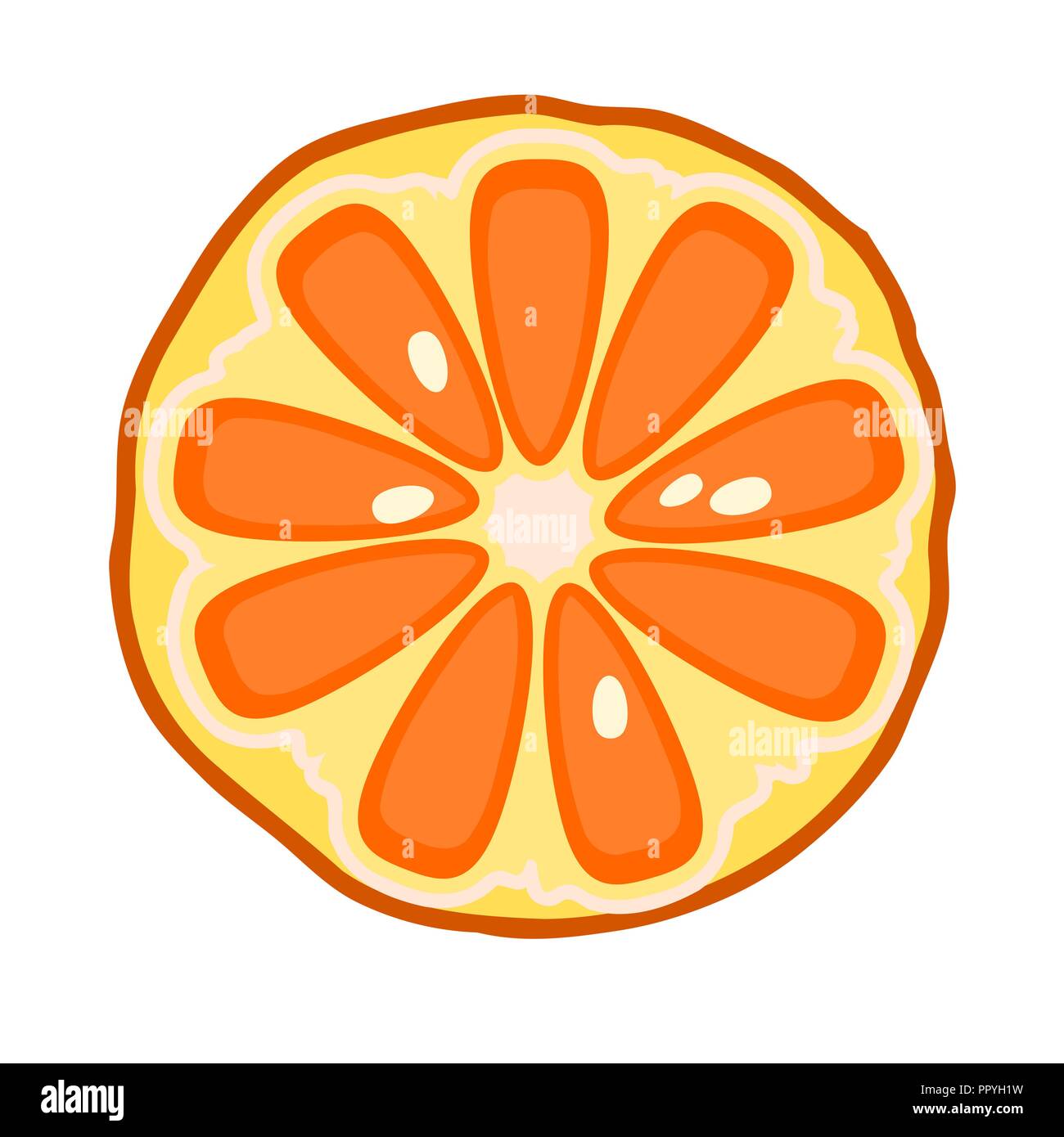 Slice of orange fruit on white, vector illustration Stock Vector Image ...