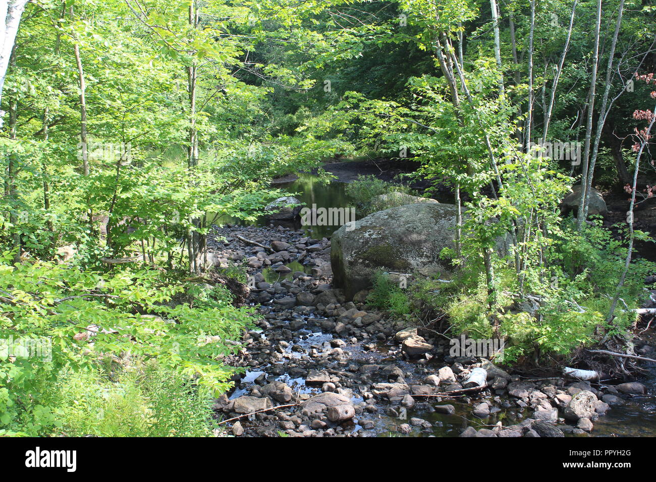 Streambed rocks hi-res stock photography and images - Alamy