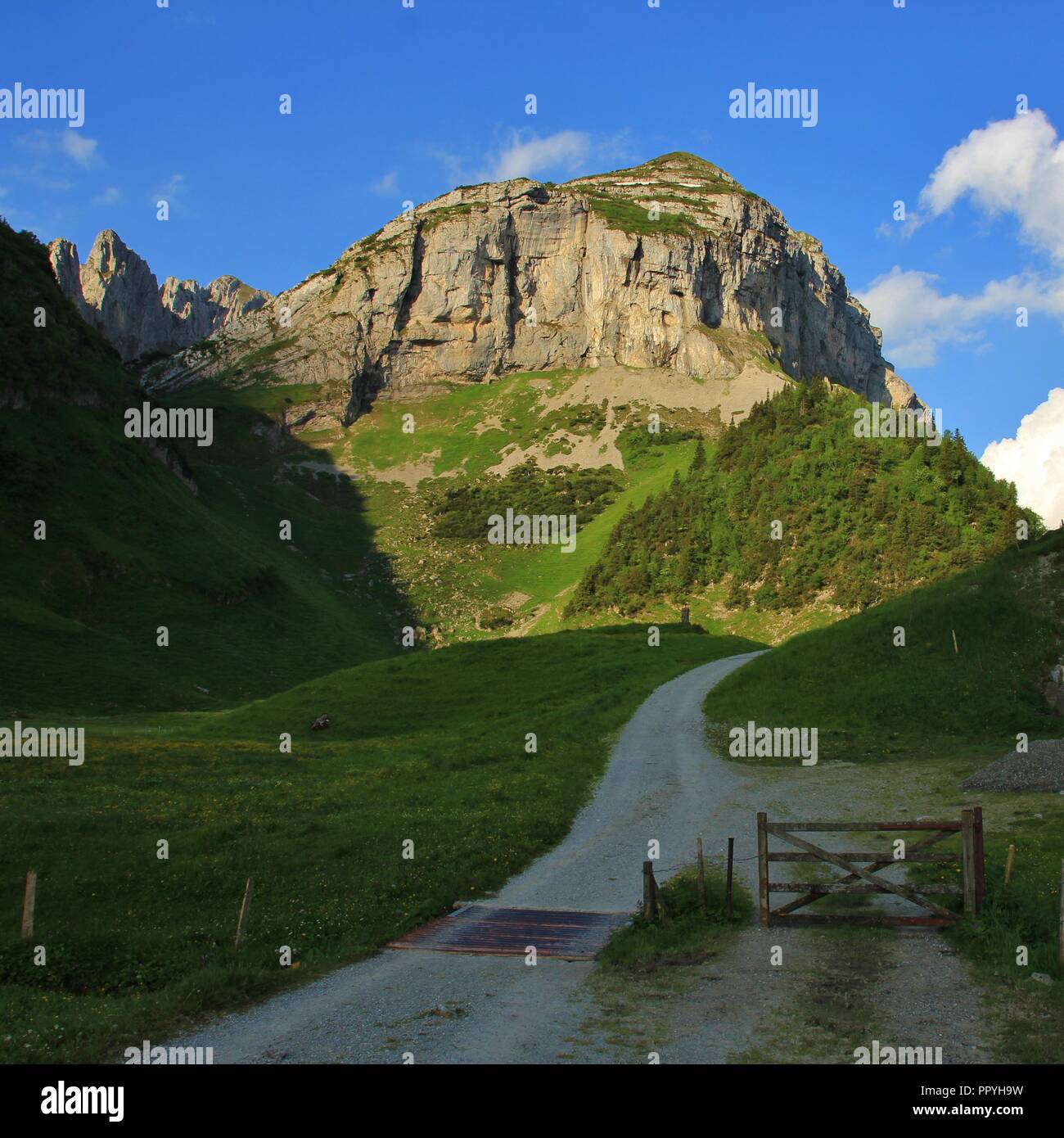 Hiking trail and Saxer First. Morning scene in Appenzell Canton ...